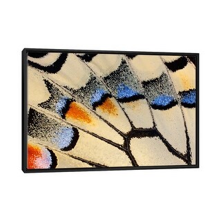 iCanvas "Butterfly Wing Macro-Photography XX" by Darrell Gulin Framed ...