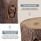 COSIEST Outdoor Wood Tree-Trunk Log Stool - Bed Bath & Beyond - 34630918