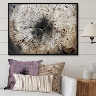 Designart "Tree Cut Stump Beauty" Tree Redwood Framed Canvas Prints ...