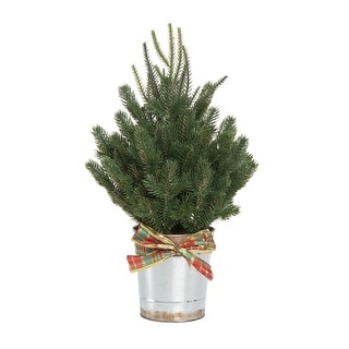 Transpac Artificial 18 in. Green Christmas Holiday Tree in Bucket - Bed ...