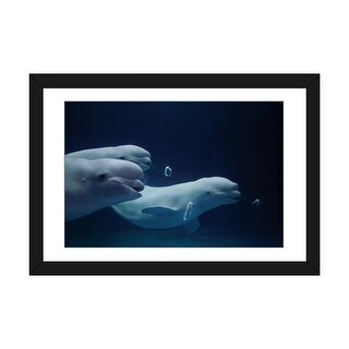 iCanvas "Beluga Whale Trio Blowing Toroidal Bubble Rings, Play Behavior ...