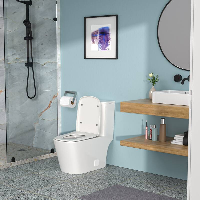Ceramic Single Flush One Piece Toilet with Soft Closing Seat ...