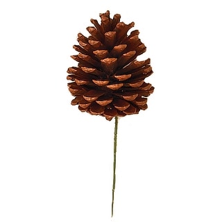 Large Natural Pine Cone Pick, Set of 12 - 10 - Bed Bath & Beyond - 40770736