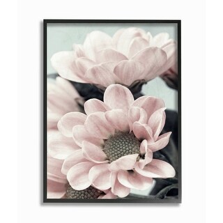 Stupell Close Up Flower Still Life Photography, 11 x 14, Design By ...