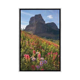 iCanvas "Boulder Pass Wildflowers" by Alan Majchrowicz Framed - Bed ...