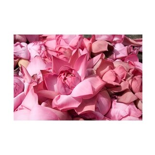 Robert Harding Picture Library 'Flowers' Canvas Art - Bed Bath & Beyond ...