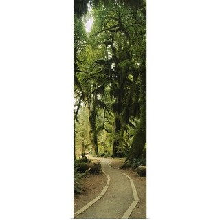 "Path in a forest, Hoh Rainforest, Olympic National Park, Washington ...