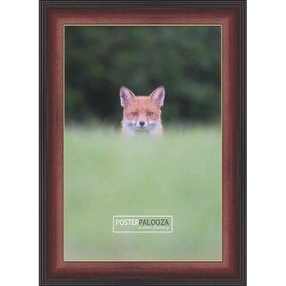 20x25 Contemporary Mahogany Complete Wood Picture Frame with UV Acrylic ...