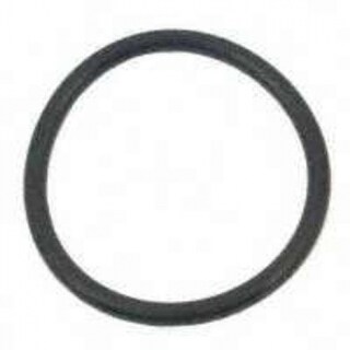 Chapin 1-2541 Compression Sprayer Pump Gasket - Bed Bath & Beyond ...