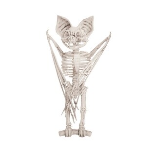 Bat Skeleton - Bed Bath & Beyond - 38296758