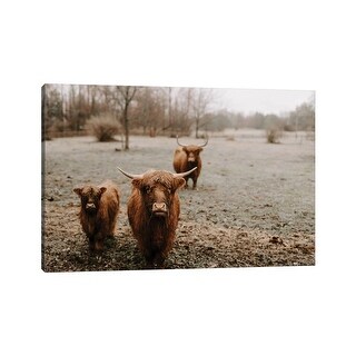 iCanvas "The Curious Highland Cows" by Chelsea Victoria Canvas Print ...