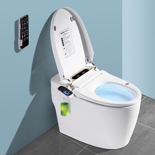Elongated One Piece Toilet with Bidet Seat, Temperature Controlled Wash ...