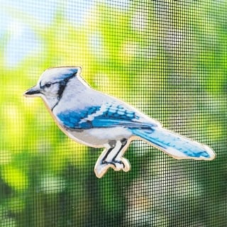 Blue Jay Two-Sided Magnet - Bed Bath & Beyond - 42361840