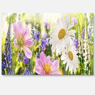 Wild Flowers Field at Sunset - Floral Photography Glossy Metal Wall Art ...