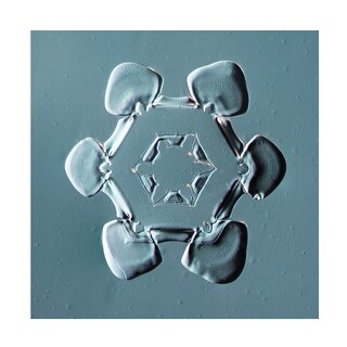 Print Collection 'Stellar Plate Snowflake 1' Canvas Art - Bed Bath ...