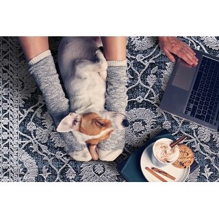 Dynamic Rugs Torino Transitional Area Rug - Bed Bath & Beyond - 36372481