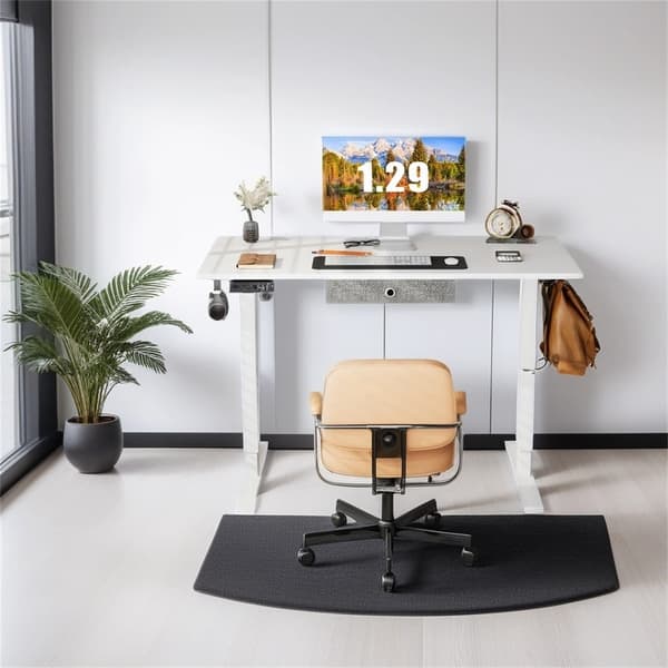 Electric Standing Desk w/Drawer Adjustable Desk Ergonomic Rising Desk ...