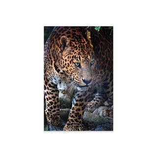 Gepard Print On Acrylic Glass by Nikita Abakumov - Bed Bath & Beyond ...