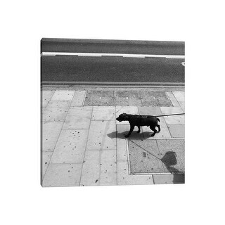 iCanvas "Taking The Human For A Walk" by Amadeus Long Canvas Print ...
