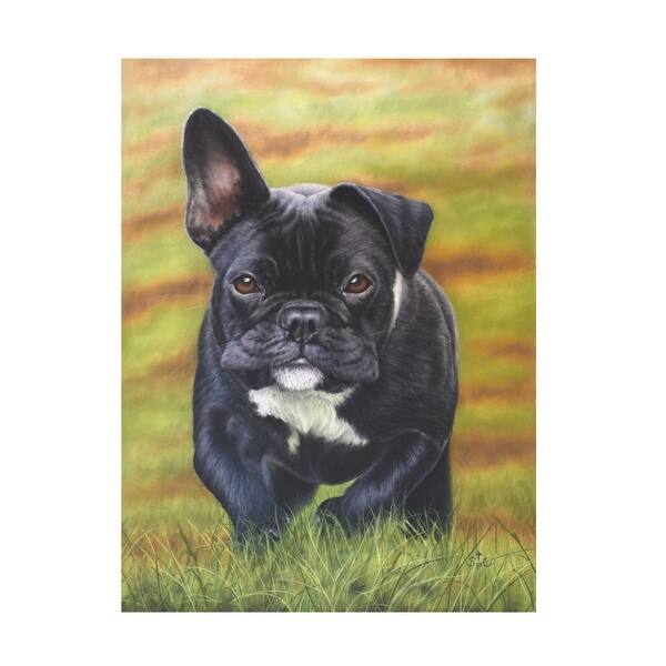Steve Crockett 'Pet Portrait Of Peppa The French Bulldog' Canvas Art ...