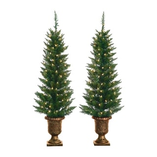 Set of 2 4 Foot Potted Cedar Pine Trees with 100 LED Lights - N/A - Bed ...