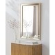Livabliss Constantine Traditional Mirror - Bed Bath & Beyond - 38978250