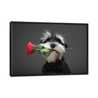 iCanvas "Tango Dancer" by Adnan Mahmutovic Framed Canvas Print - Bed ...