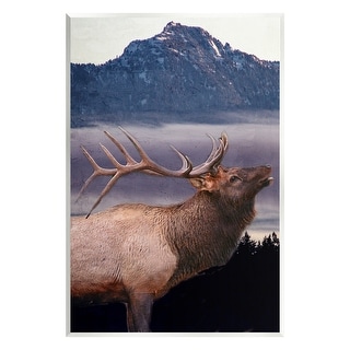 Stupell Elk Mountain Landscape Wall Plaque Art Kim Allen - Bed Bath ...