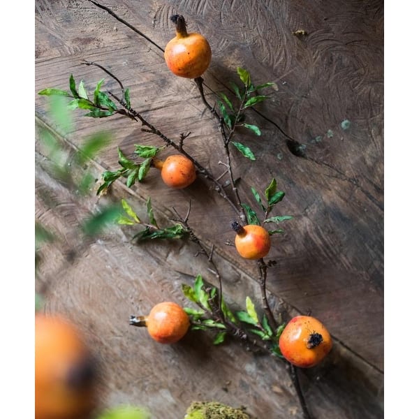 pomegranate artificial