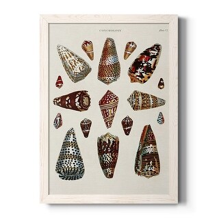 Spiral Shell Formation V-Premium Framed Canvas - Ready to Hang - Bed ...