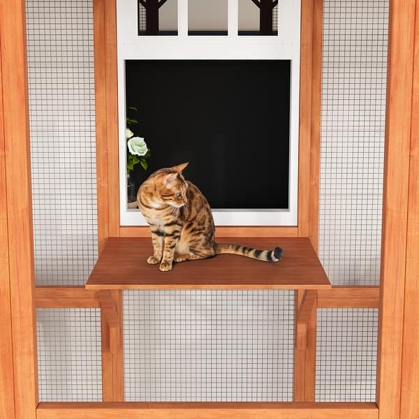 diy cat window box