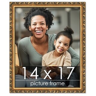 14x17 Traditional Gold Complete Wood Picture Frame with UV Acrylic ...