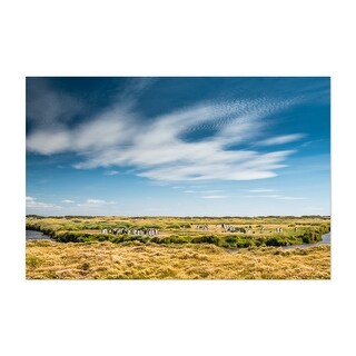 Porvenir Tierra del Fuego Chile Windswept Animals Art Print/Poster ...