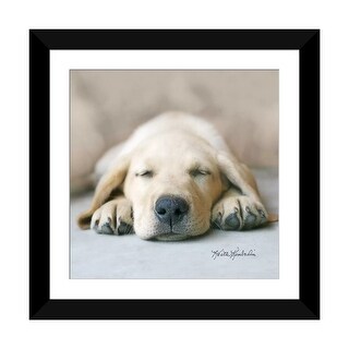 iCanvas "Dreaming of Kibble" by Keith Kimberlin - Bed Bath & Beyond ...