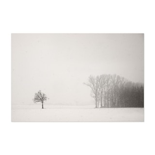 Isolation Photography Nature Plant Snow Art Print/Poster - Bed Bath ...