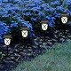 Solar Collin Pathway Light 6 Pack - Bed Bath & Beyond - 31319505