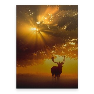 Delphine Devos 'Two Poppies In A Bottle' Floating Brushed Aluminum Art - Bed Bath & Beyond ...