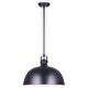 Polo 1 Light Pendant, Black Finish Modern Adjustable Ceiling Light ...