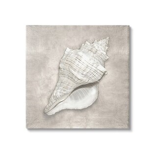 Stupell Rustic Grey Conch Shell Canvas Wall Art Design By Amber ...
