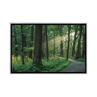 iCanvas "Sun Rays On The Forest Path II" by Sandra Rust Framed - Bed ...