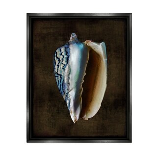 Stupell Dark Conch Shell Framed Floater Canvas Wall Art Design by ...