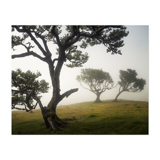 Portugal Hey you stop fighting Photography Fantasy Art Print/Poster ...