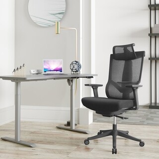 High Back Armrest Office Chair,Computer Chair with Chase Back Function ...