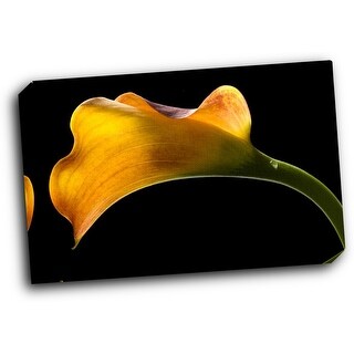 Mango Calla Lily 14x8 Gallery Wrapped Stretched Canvas - Bed Bath ...