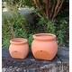 Natural Terracotta Fallen Pots or Hanging Pots - Bed Bath & Beyond ...