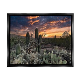 Stupell Arid Desert Cactus Sunset Floating Framed Canvas Wall Art ...