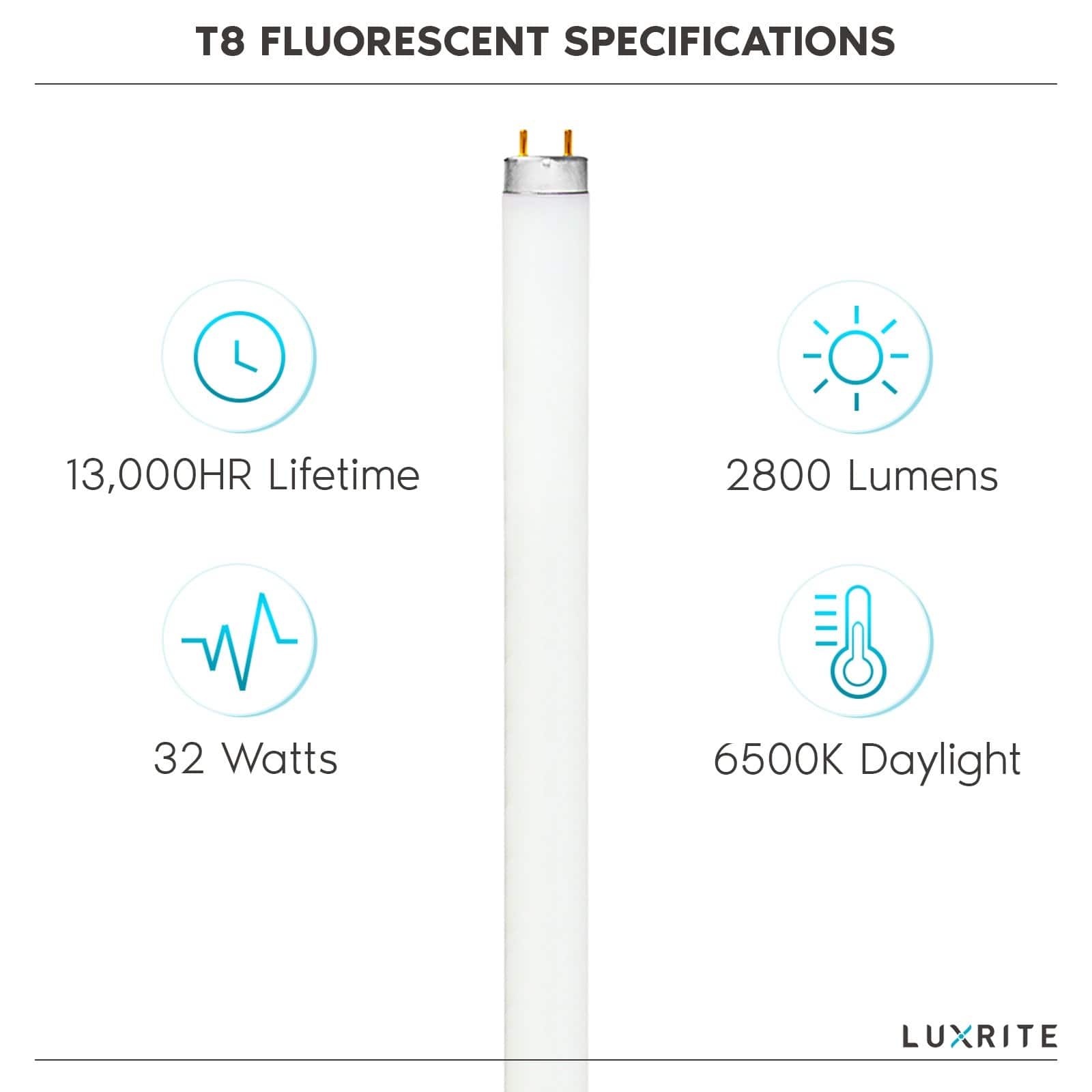 Luxrite 48 Inch T8 Fluorescent Tube Light Bulb 32W 6500K Daylight 2800 ...