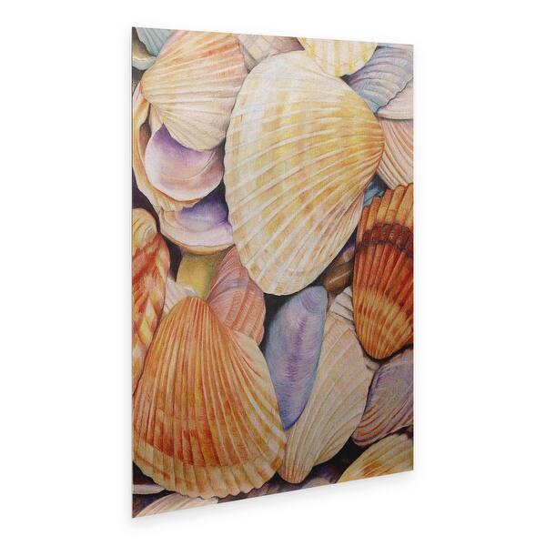 Judith Selcuk Illustrations 'Sea Shells' Floating Brushed Aluminum Art ...