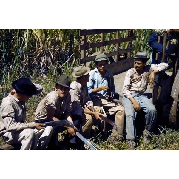 Puerto Rico Sugar Cane Workers Resting At The Noon Hour History - Bed ...
