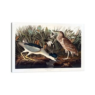 iCanvas "Black-crowned Night Heron Or Qua Bird" by John James Audubon ...
